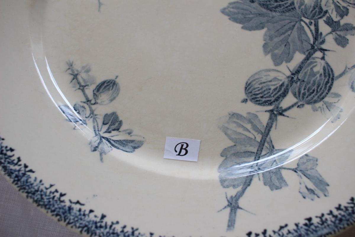 U&C Sarreguemines 【サルグミンヌ】スグリのプレート“GROSEILLES”