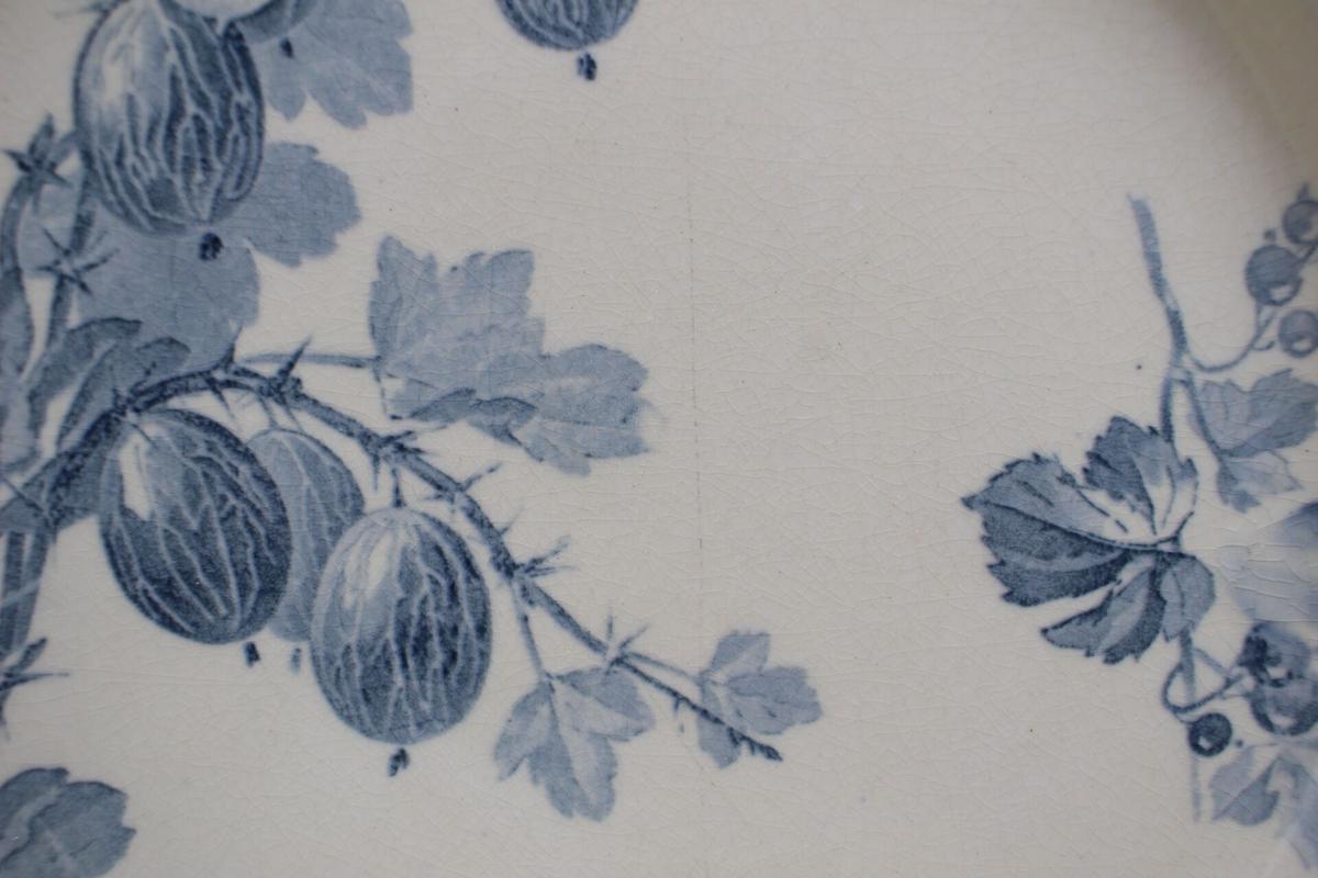 U&C Sarreguemines 【サルグミンヌ】スグリのプレート“GROSEILLES”