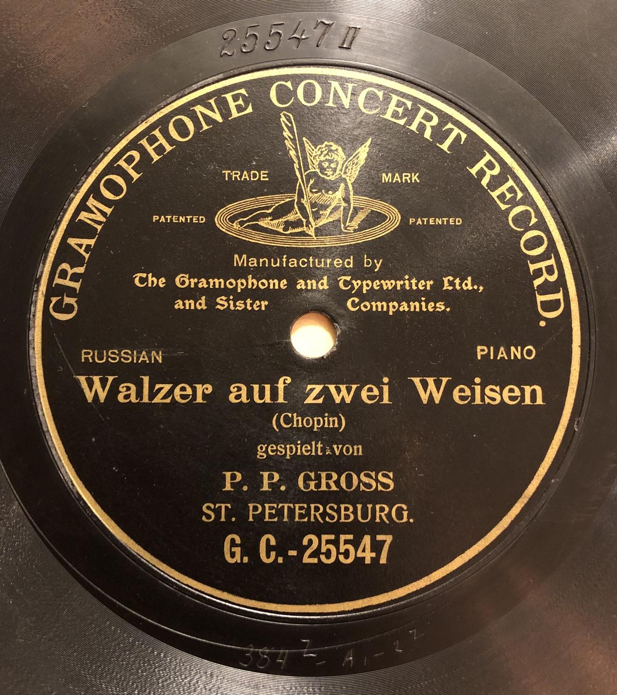GREAT CHOPINZEES ~A SPOONFUL CHOPIN'S SECRETS V...
