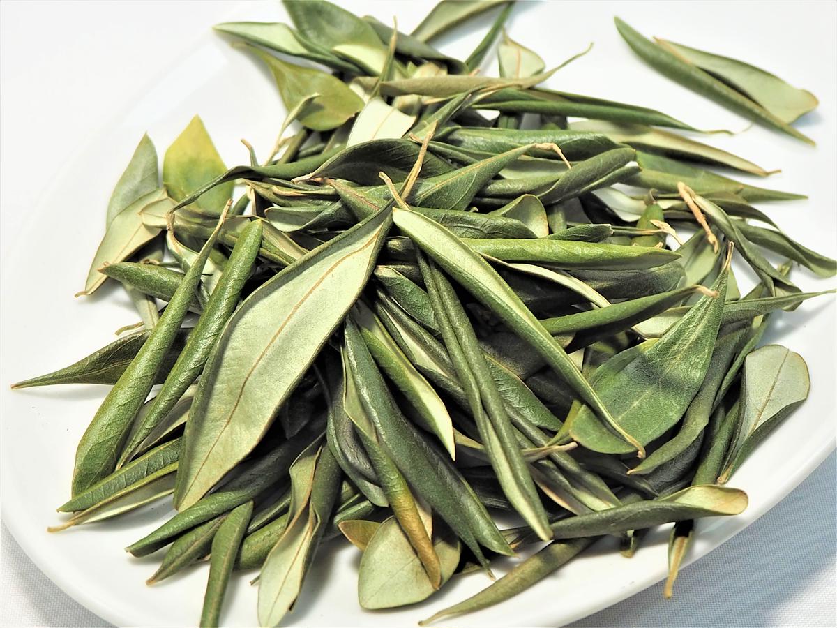 【Olive leaf tea】 Olive leaves/ Health Tea/ 3 g...