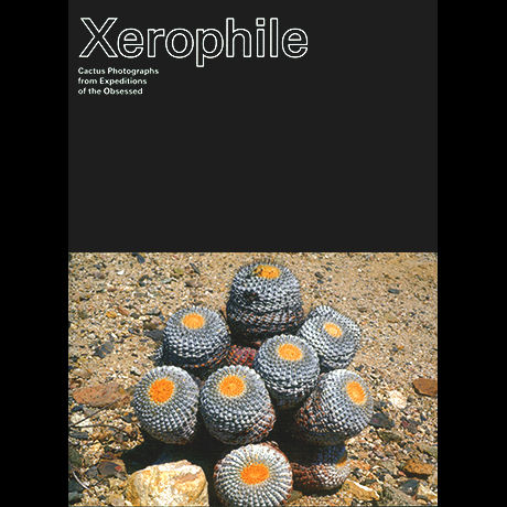 Xerophile / Cactus Store | STRAIGHT