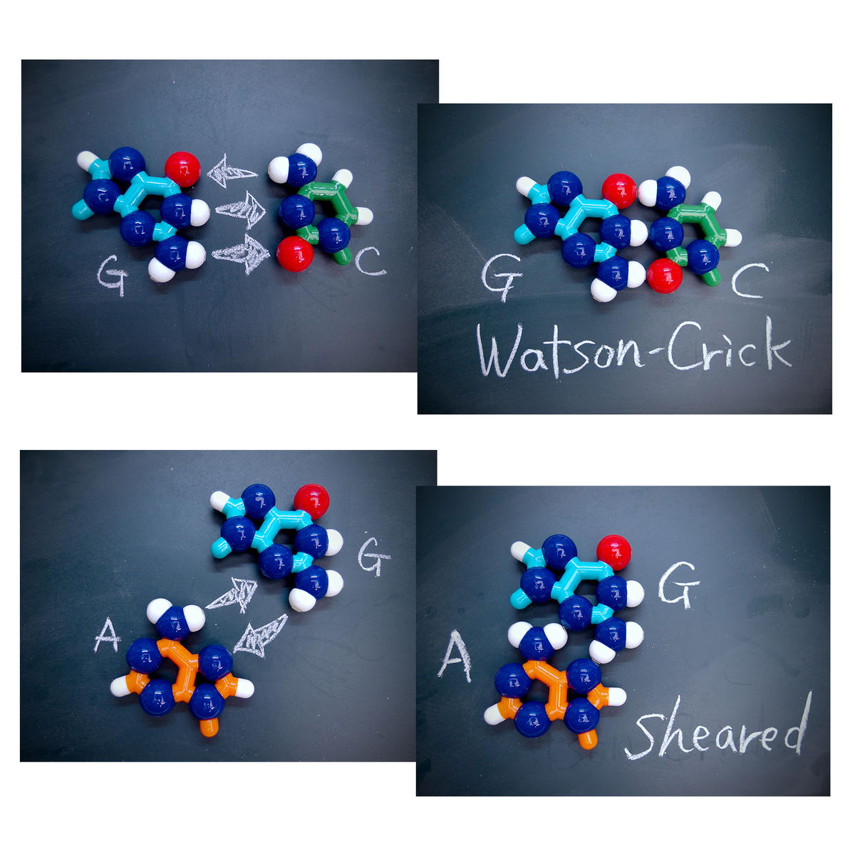 BasePairPuzzle G-Quartet set | StudioMIDAS.Store