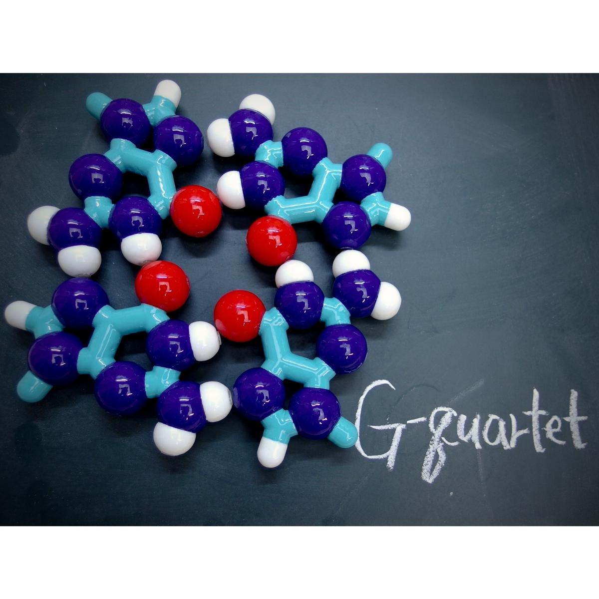 BasePairPuzzle G-Quartet set | StudioMIDAS.Store