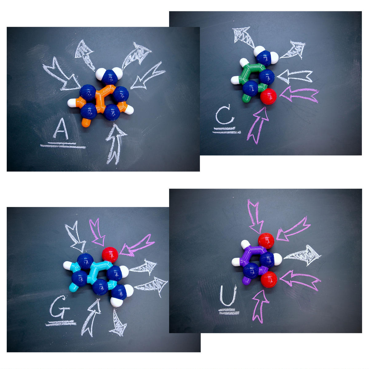 BasePairPuzzle G-Quartet set | StudioMIDAS.Store