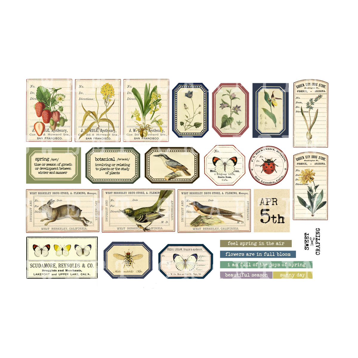 【デジタルコンテンツ】label spring 春のラベル（リニューアル） | Sweet C...