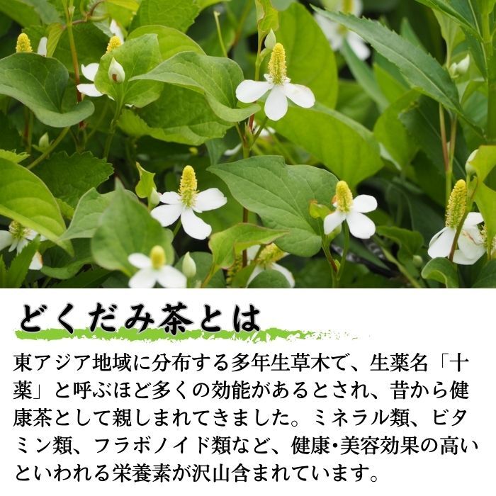 どくだみ茶 ティーバッグ 40p／15p | 高山茶園