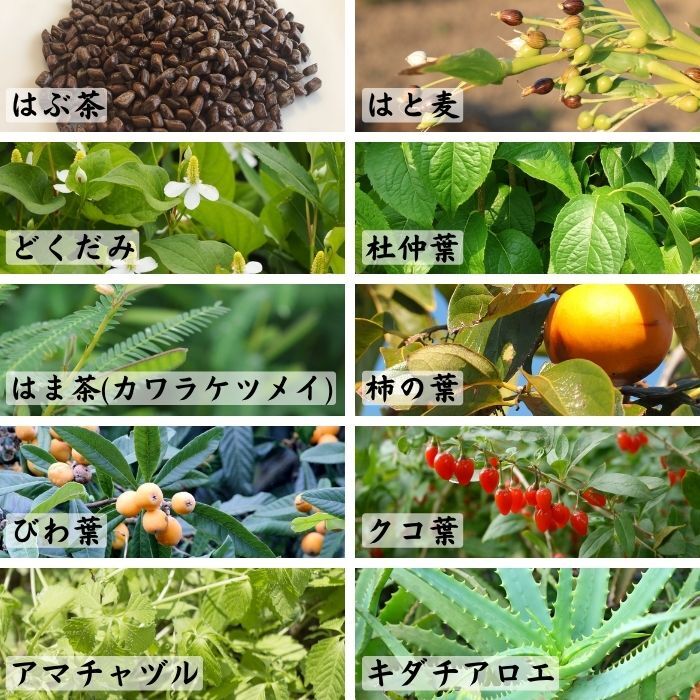 十健寿茶 ティーバッグ 40p／15p | 高山茶園