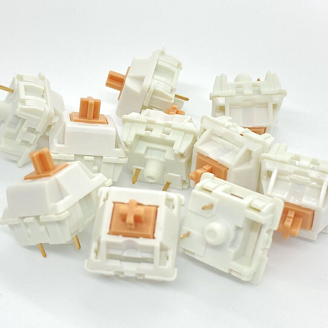 holy POM panda 100個 67g - nimfomane.com