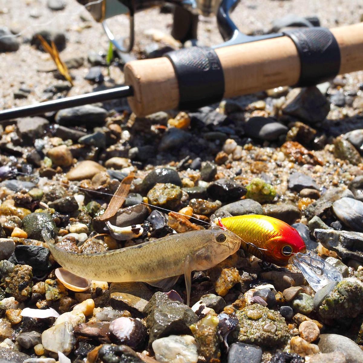 MINI ROD DIY KIT | FC NET.