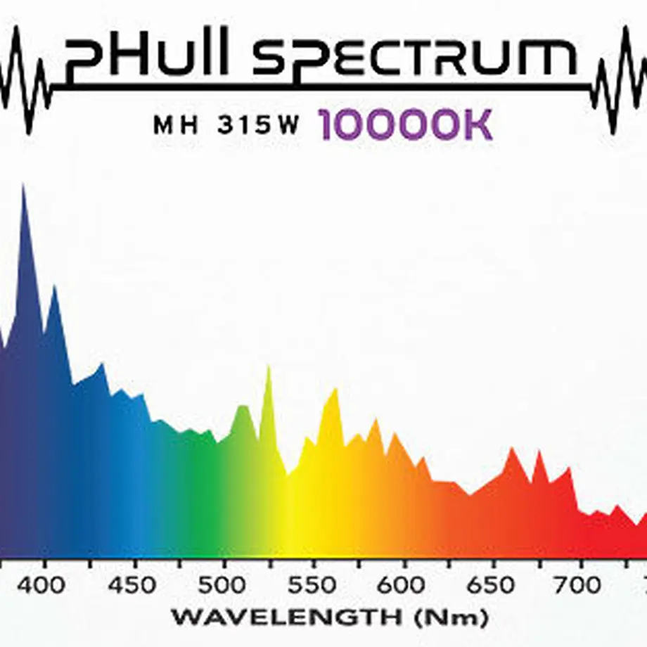 pHull Spectrum CMH 315W Lamp（10000K フィニッシュ） | g...