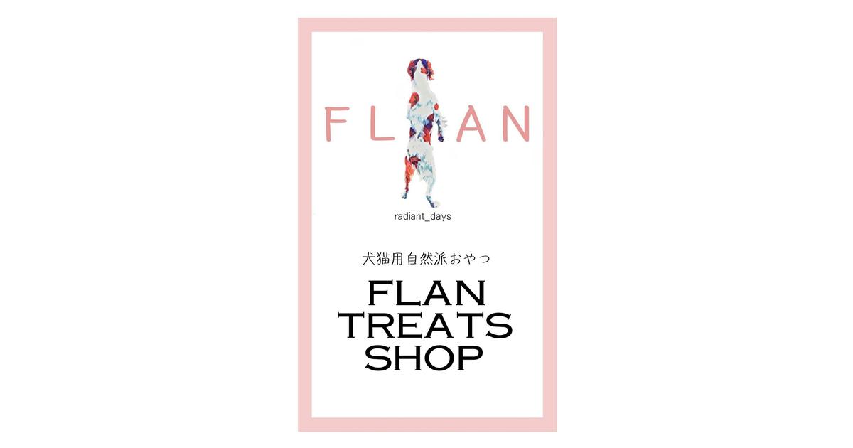 FLAN treats shop