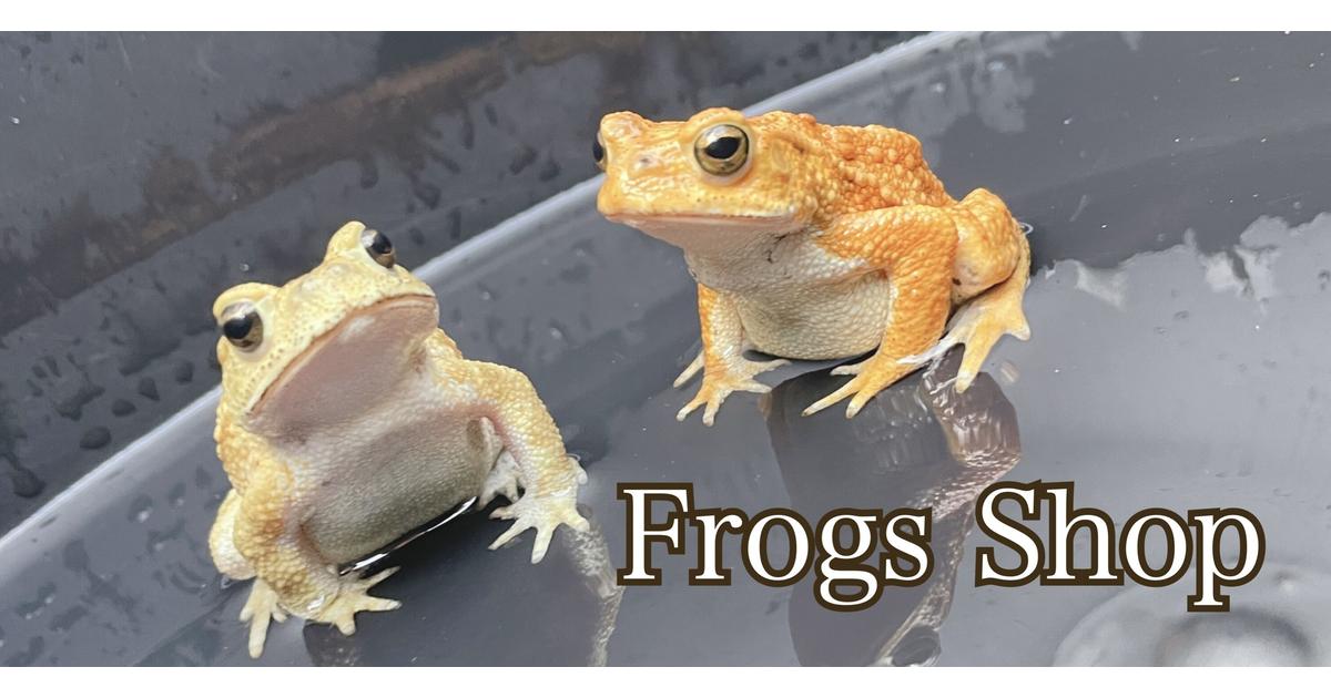 Frogs Shop