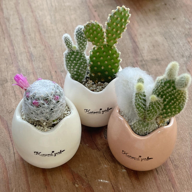 ALPINE MD＋CD本体+チェンジャー 取説あり - enjingi.hr