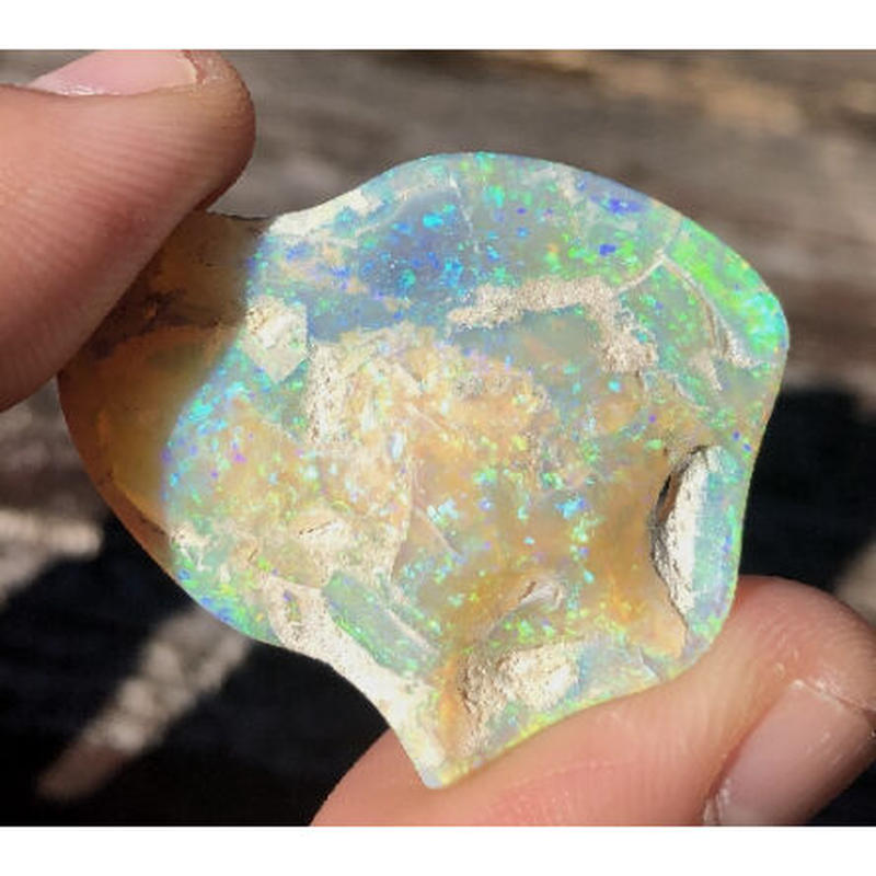 シェルオパール - nimfomane.com