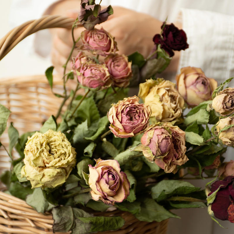 31％割引ブラウン系素敵でユニークな T.Ellemo様専用110 ローズとスイートピーのドライフラワーセット 各種パーツ 素材/材料ブラウン ...